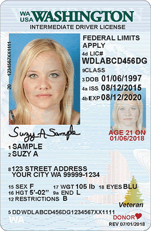 Intermediate Driver's License | International Drivers Academy