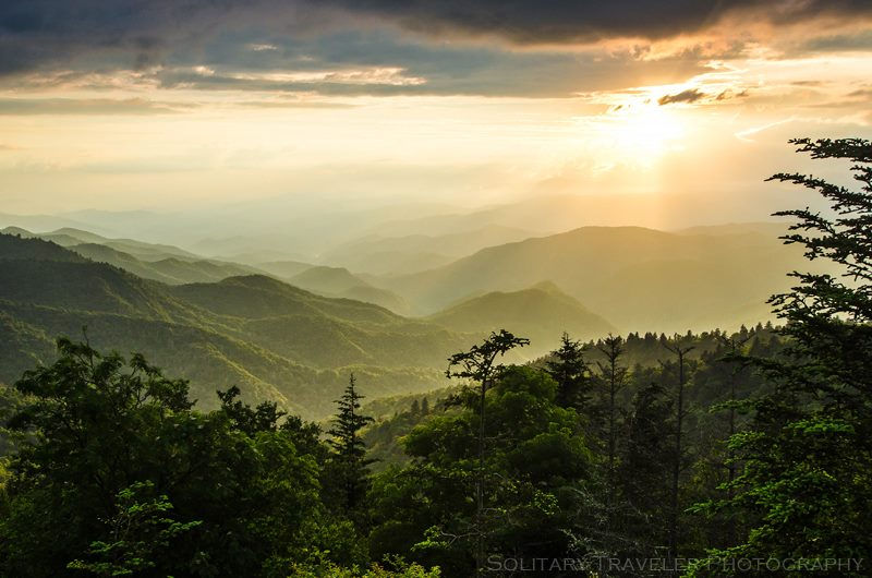 Home | Descendants of Alexander and Thomas Joyce Families Association