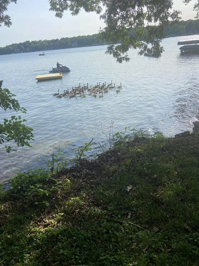 Gallery | Hamilton Lake
