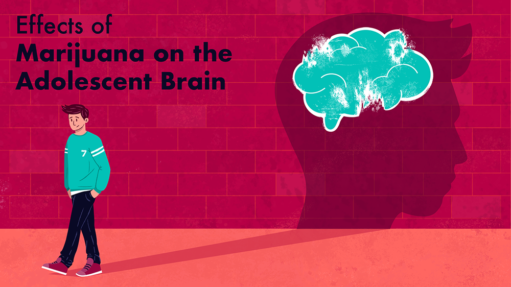 Effects of Marijuana on the Adolescent Brain