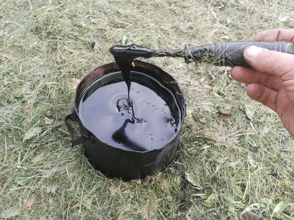 Huile ou Brai (ou Goudron) de Bouleau