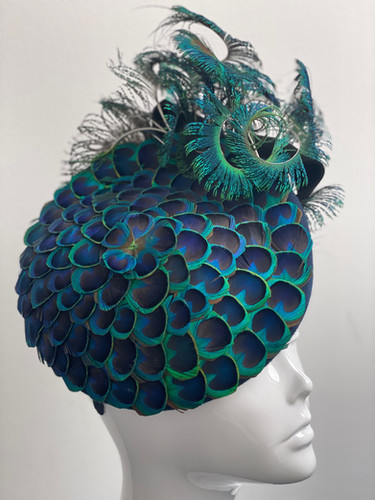 Grand peacock hybrid | Lisa Von Hallwyl