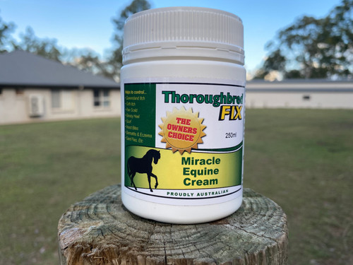 Equine Cream | bbequineproducts