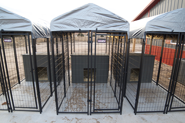 The Rut 'N Strut Lodge | About