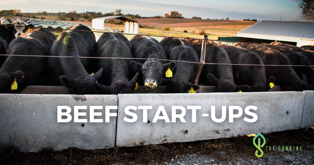 AgTech Insights: A Look Into Beef Industry Start-Ups