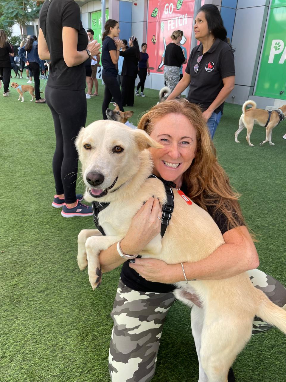 Adopt a dog – Give a second chance to a life worth loving