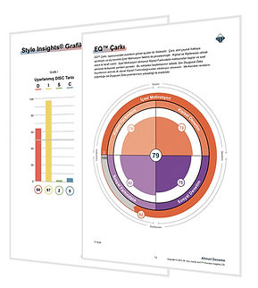 TriMetrix EQ Kişilik Envanteri | TTI Success Insights Türkiye