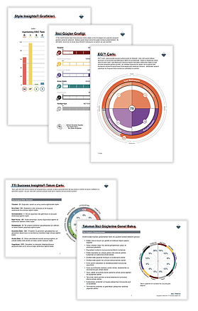 TriMetrix EQ Kişilik Envanteri | TTI Success Insights Türkiye