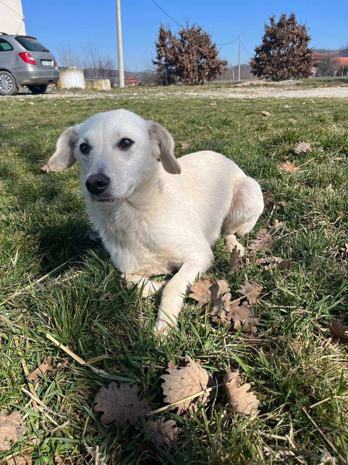 Bella