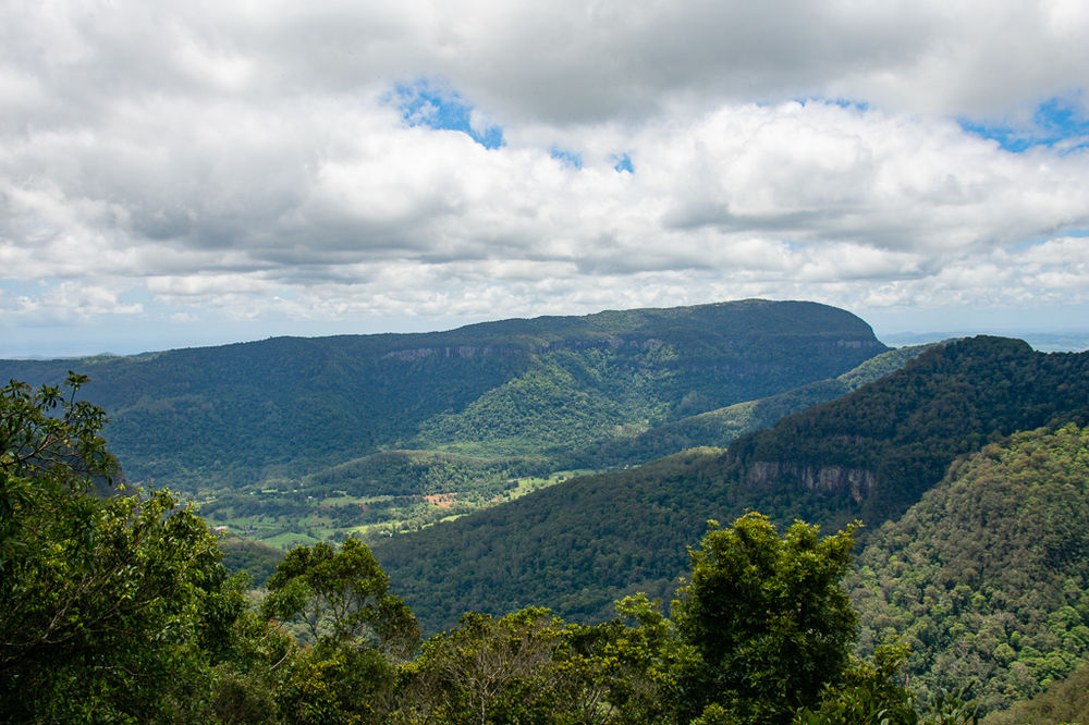 Coomera Falls Circuit - Lamington National Park