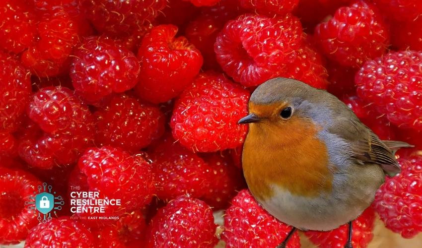 Raspberry Robin: Access Brokers & Threat Actors