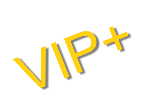 VIP+ Bundle | modernrole-play