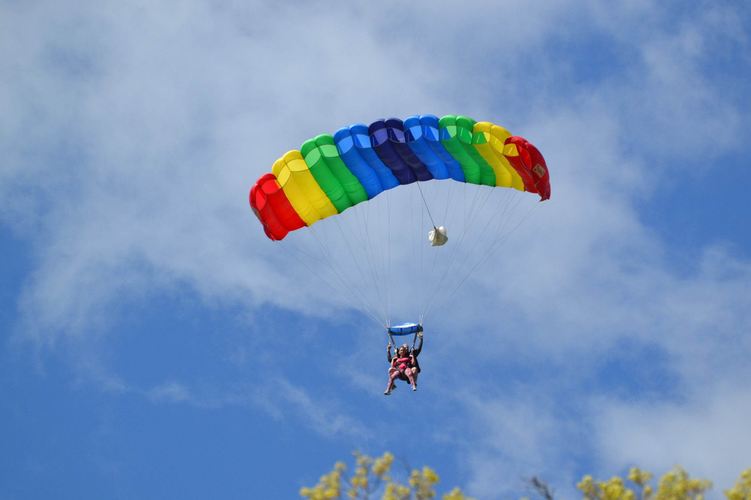 LEAP for Autism | Greystone Programs