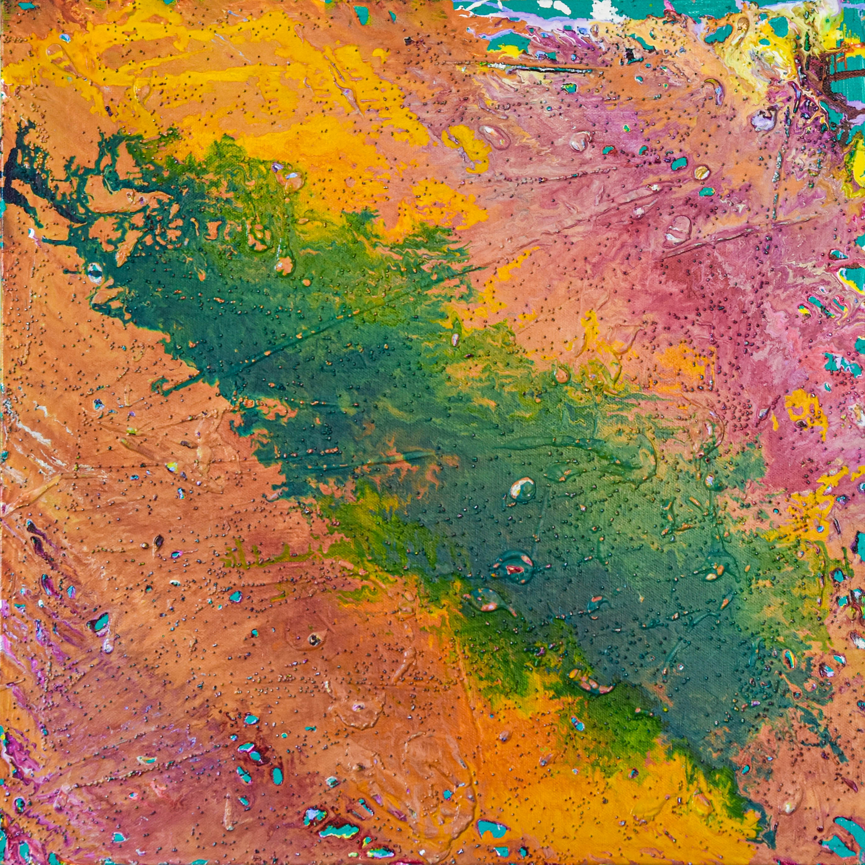 Abstract Artist | Suzanne Sunshine Paintings | United States