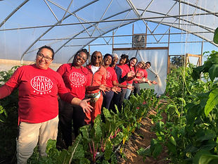 Organic Agriculture | United States | Farmshare Austin