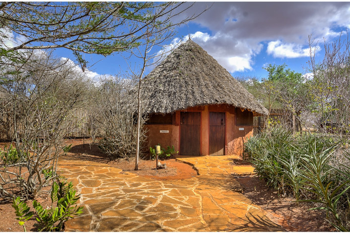 Rukinga Conservancy | Wildlife Conservation Rukinga | 8RR6+GQ8 Maungu ...