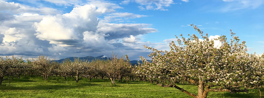 Sunset Orchard| E | Sunset Orchard on Green Bluff