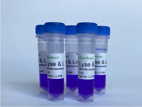 Lyse & Load | EcoTech