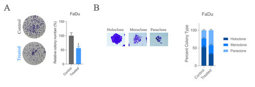 CrystalStain, Cell Staining Solution | EcoTech