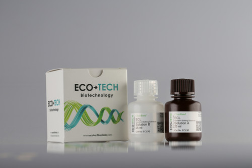 ECL Western Blotting Substrate | EcoTech