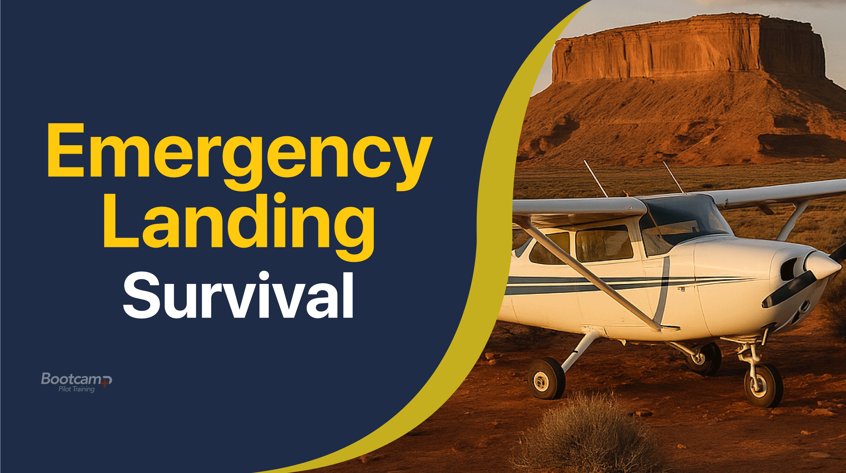 Emergency Landing Survival