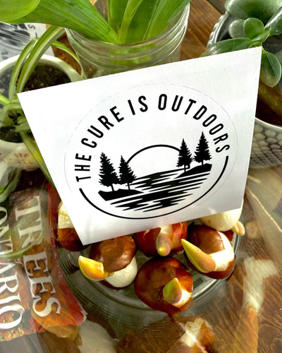 The Cure Stickers & Decals | The Cure Is Outdoors