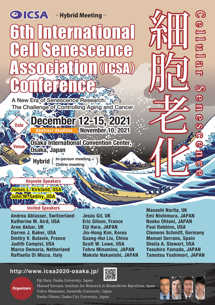 ICSA 2021 - Japan | 19072024