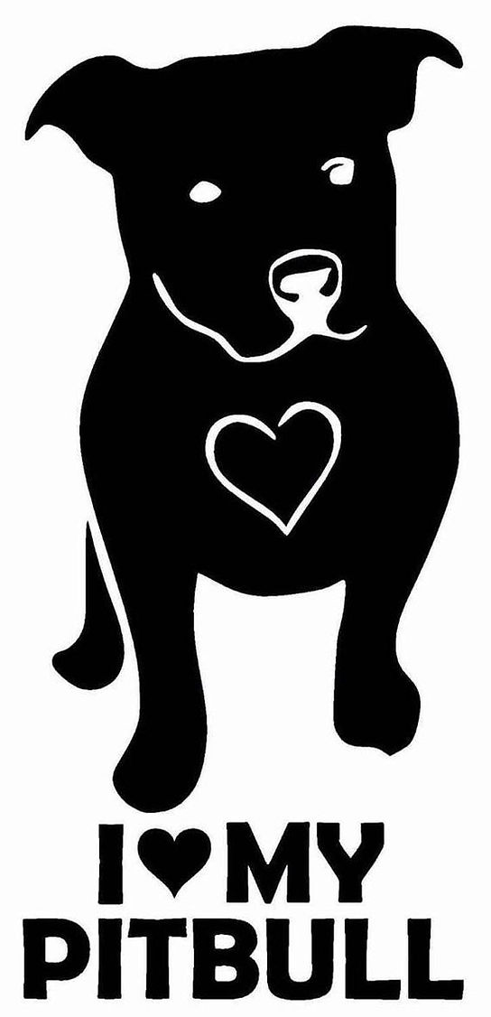 pitbull decalque