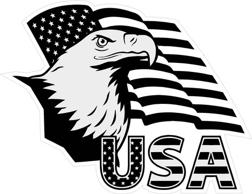 USA Eagle Flag decal sticker | Cornhole Stop