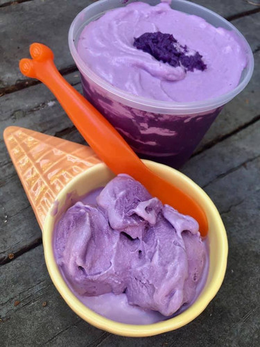 Purple Yam (Ube) | Islander’s Creamery