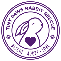 Rabbit Rescue | Adopt a rabbit | Windsor, ON, Canada