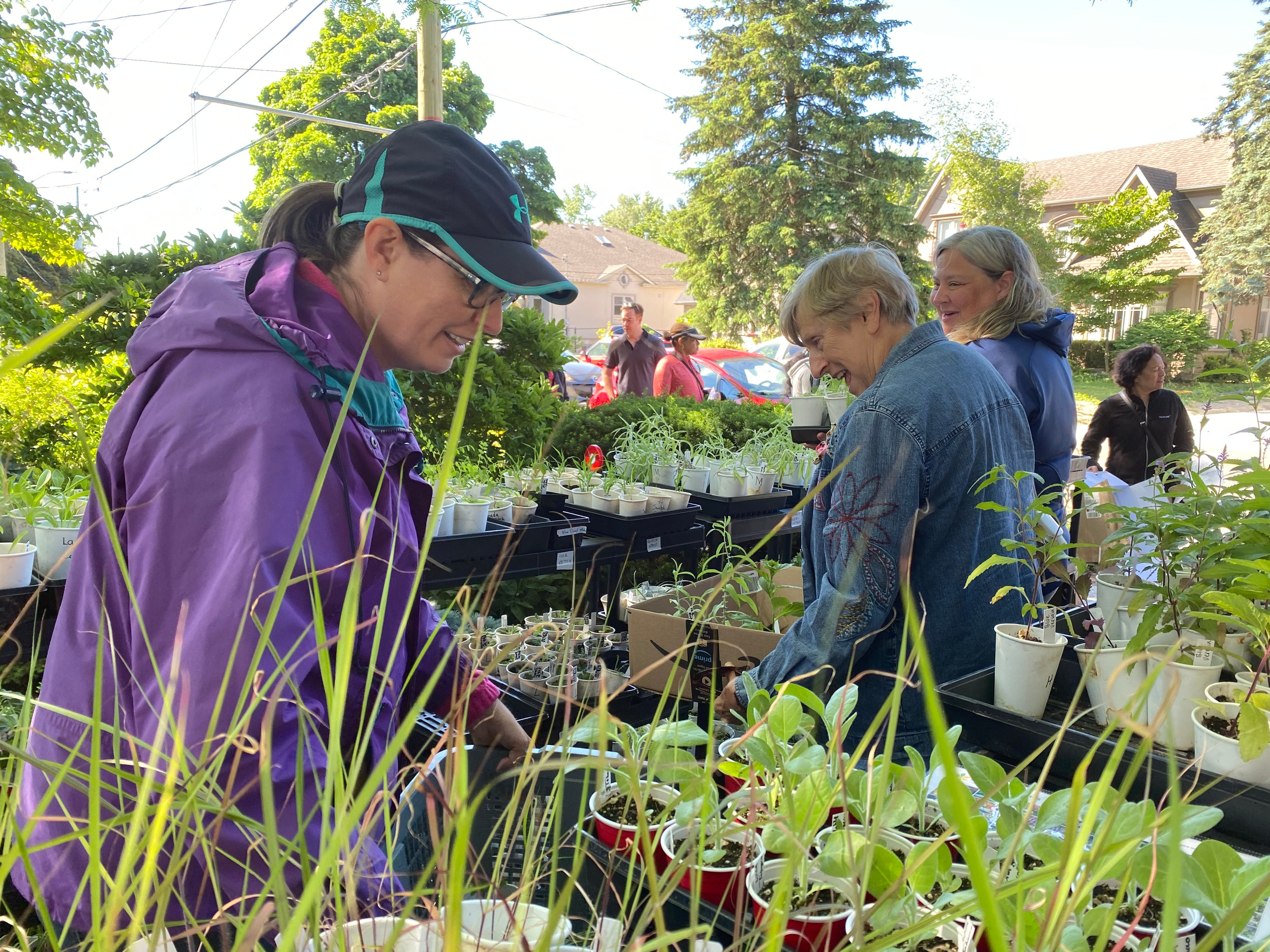 6th Annual Native Plant Sale | Blooming Boulevards