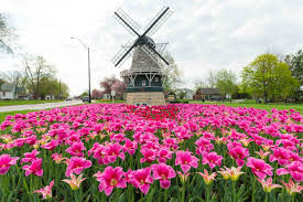 Pella Tulip Festival