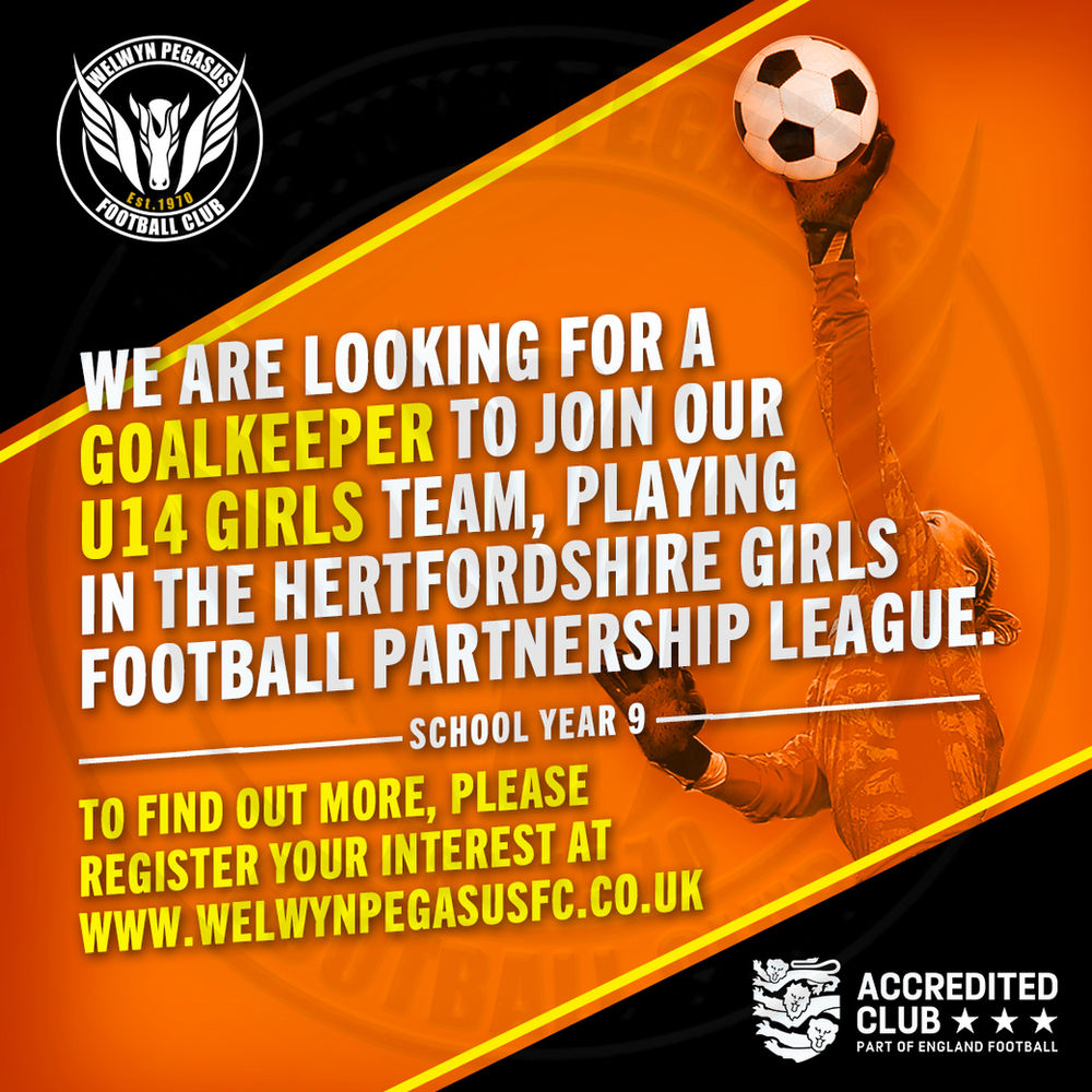 Girls U14 Goalkeeper Wanted