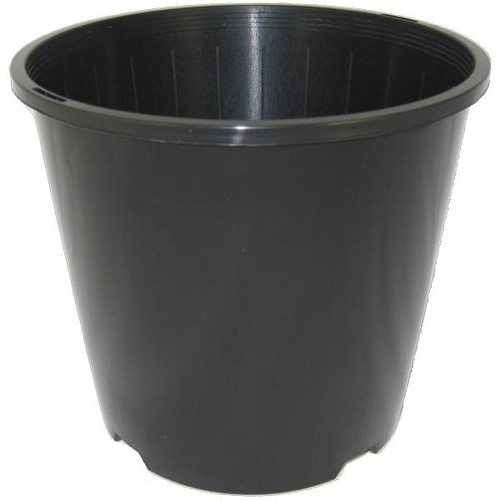 Standard Pots 100mm | Hydro Mart