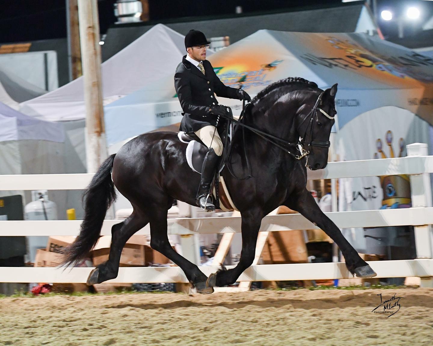 David Anderson, DVM Equine Veterinarian Connecticut