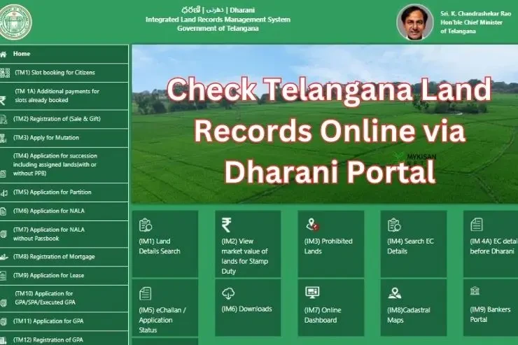 Dharani Portal Telangana:Everything you need to know