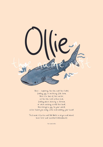 Ollie - digital artwork | thenamenest