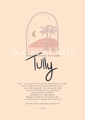 Tully | thenamenest