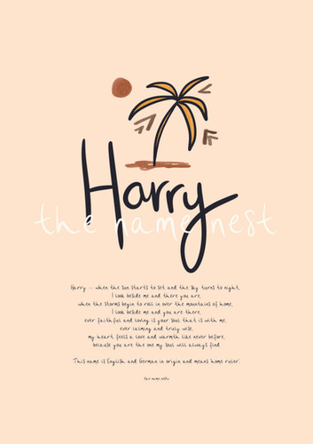 Harry | thenamenest