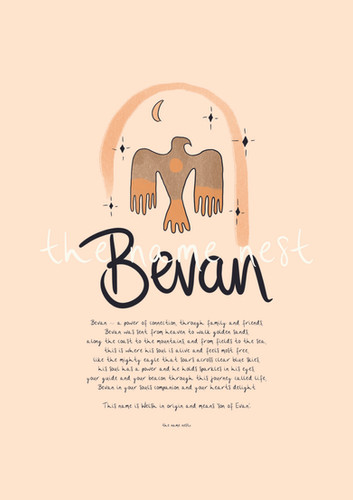 Bevan - digital artwork | thenamenest