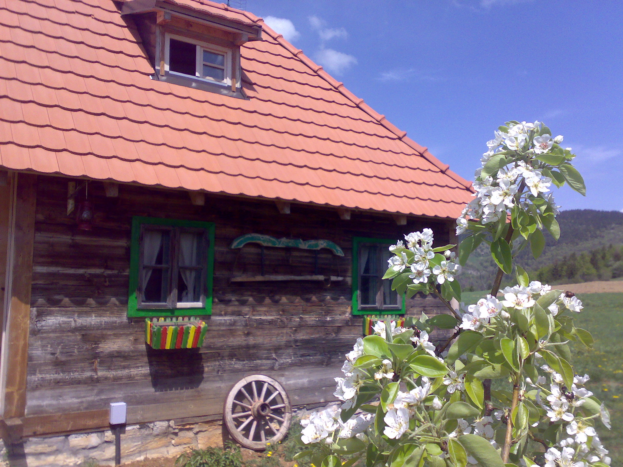 Brvnara 3 & 4, sa Studiom, selo Rudno, Dmaćinstvo Šekler