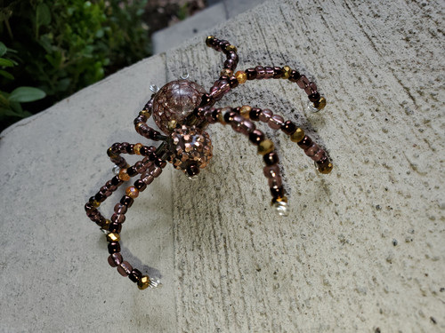 Bronze Tarantula | Mrs. Muffets Spiders