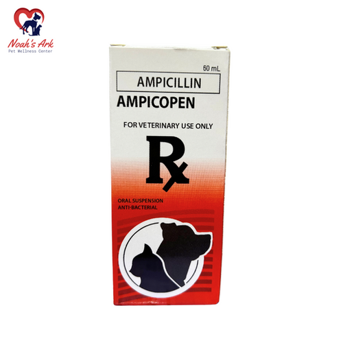 Ampicopen Ampicillin Oral Suspension 100mg/ml 60ml | Noah's Ark PWC