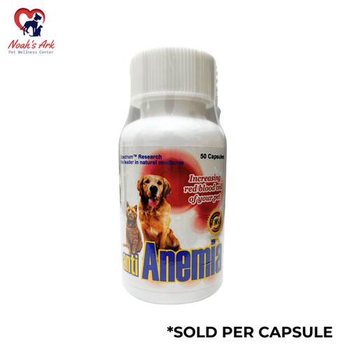 Anti-Anemia Capsule | Noah's Ark PWC