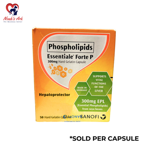Essentiale Forte P Phospholipids 300mg Capsule | Noah's Ark PWC