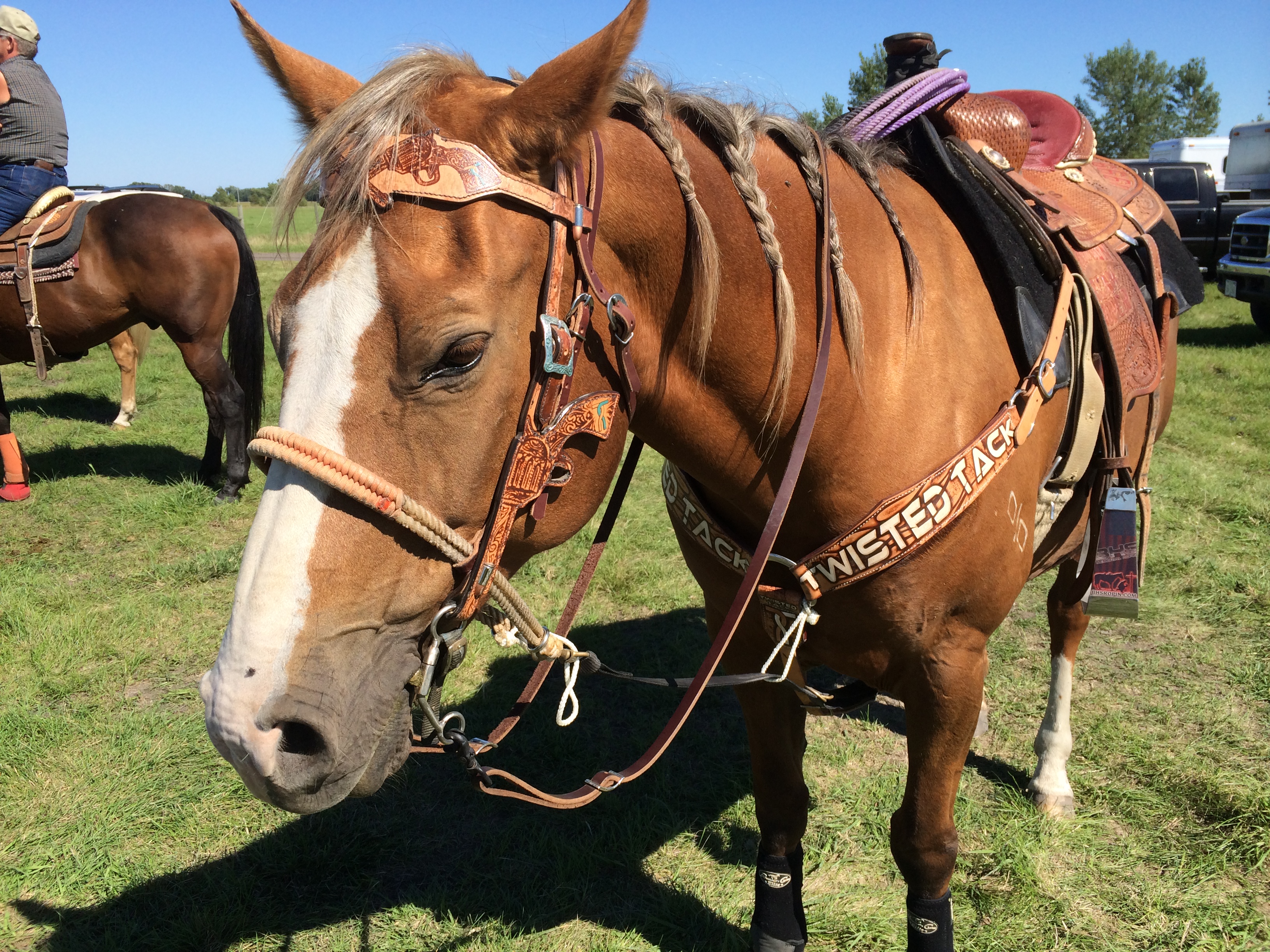 CUSTOM TACK | TWISTED TACK