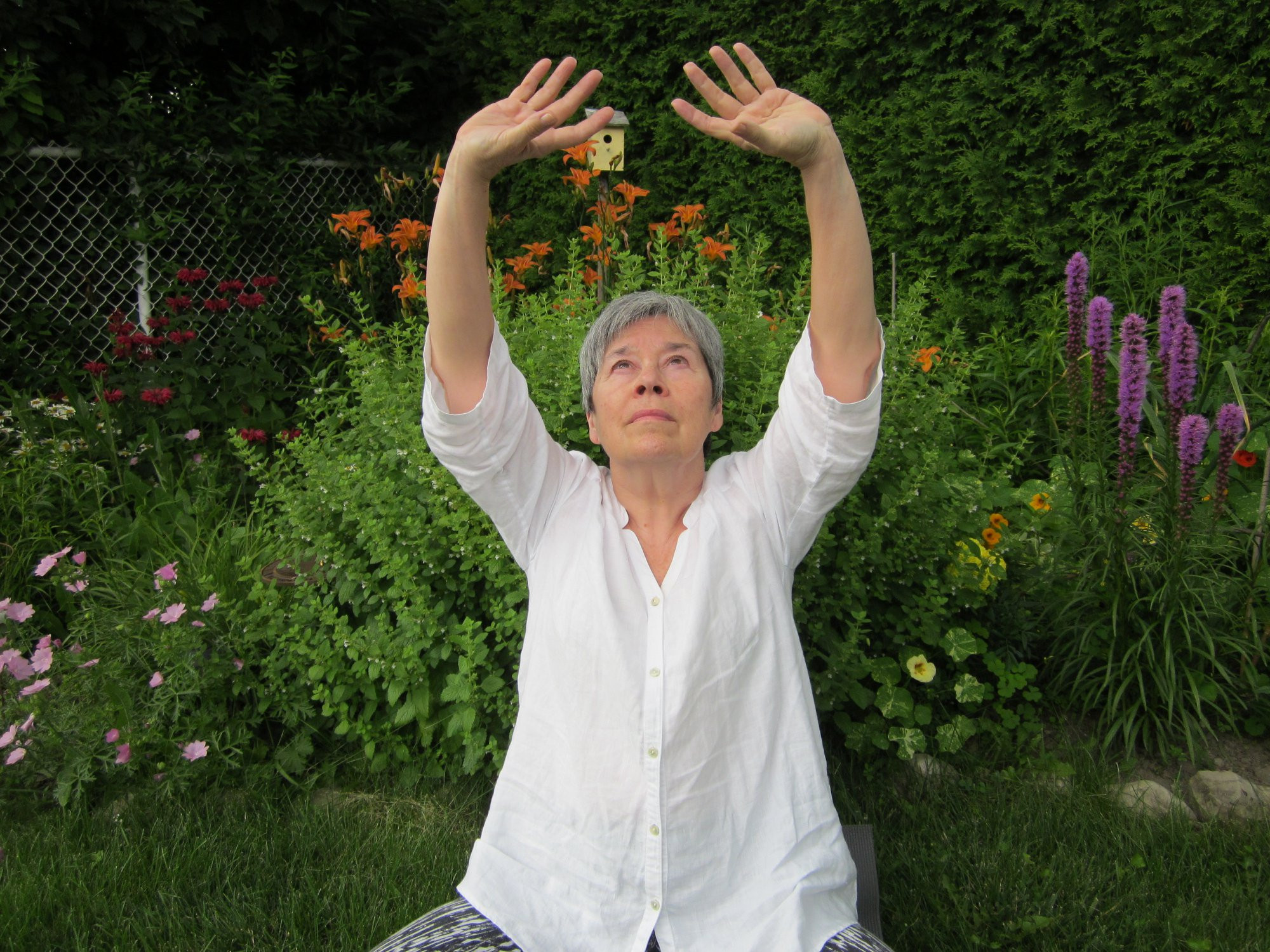 Cours Qi Gong au Jardin Moore | Jardin Moore