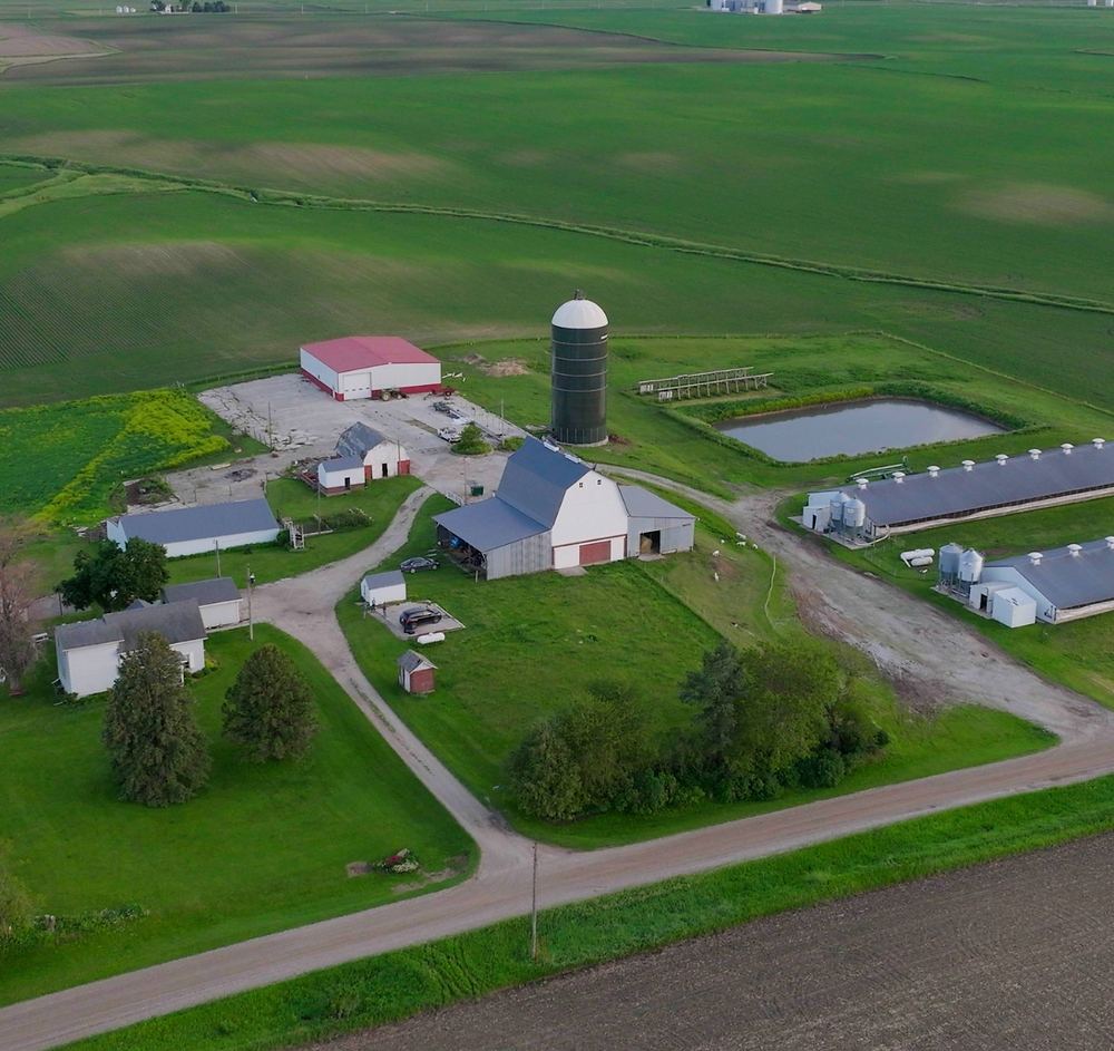 From Hogs to Mushrooms: An Iowa Family's Radical Transition to ...