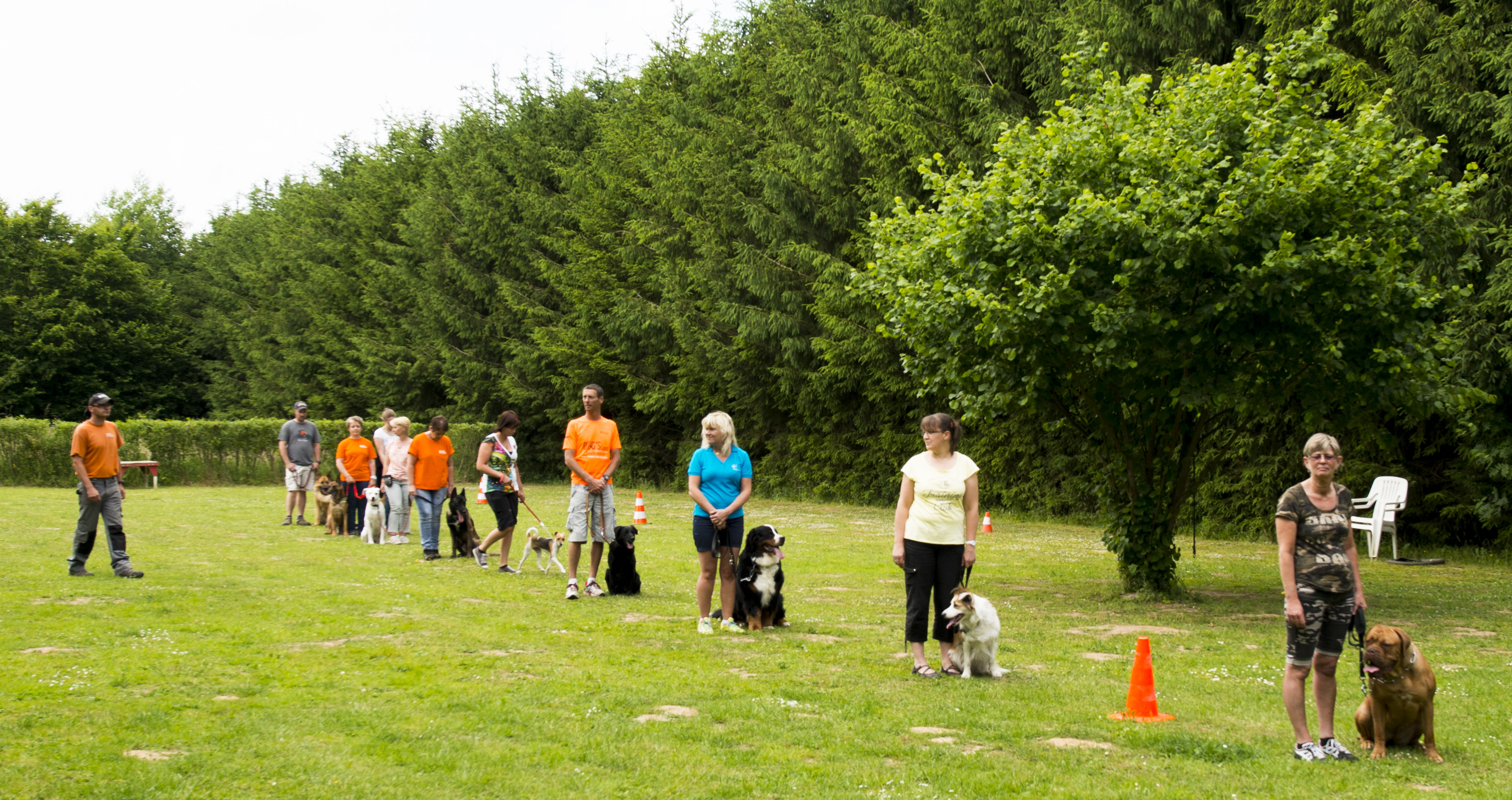 Dog's Land